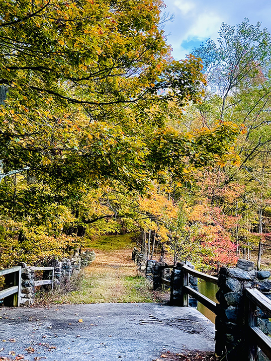 Welcome! | Ananda Ashram